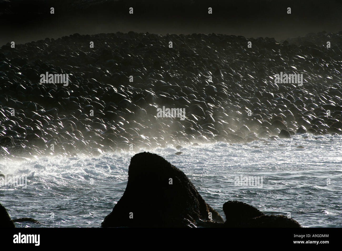 Rocks at the coastline at Reykjanes Stock Photo - Alamy