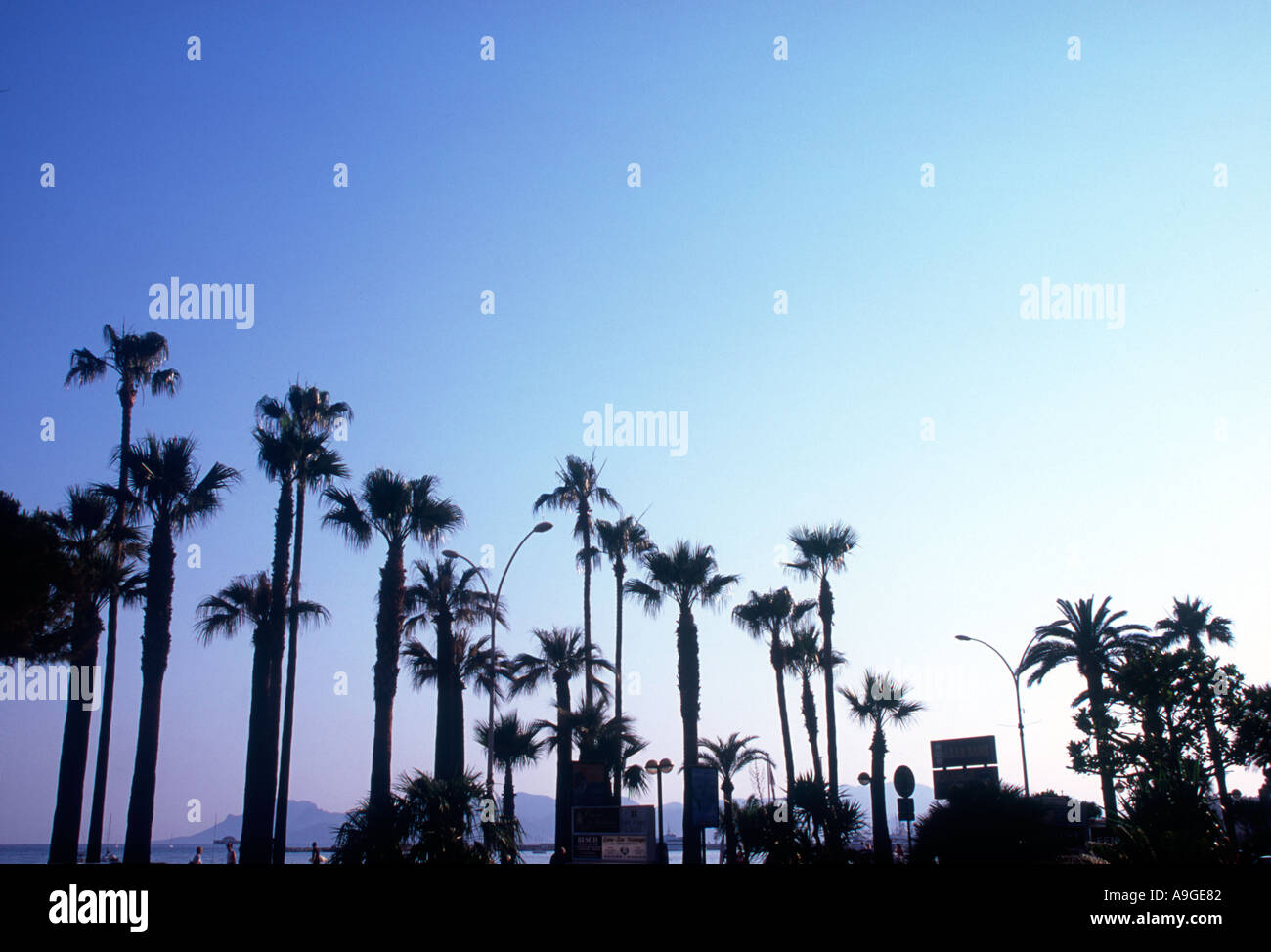 Boulevard de la Croisette, Cannes, Cote D'Azur, France Stock Photo - Alamy
