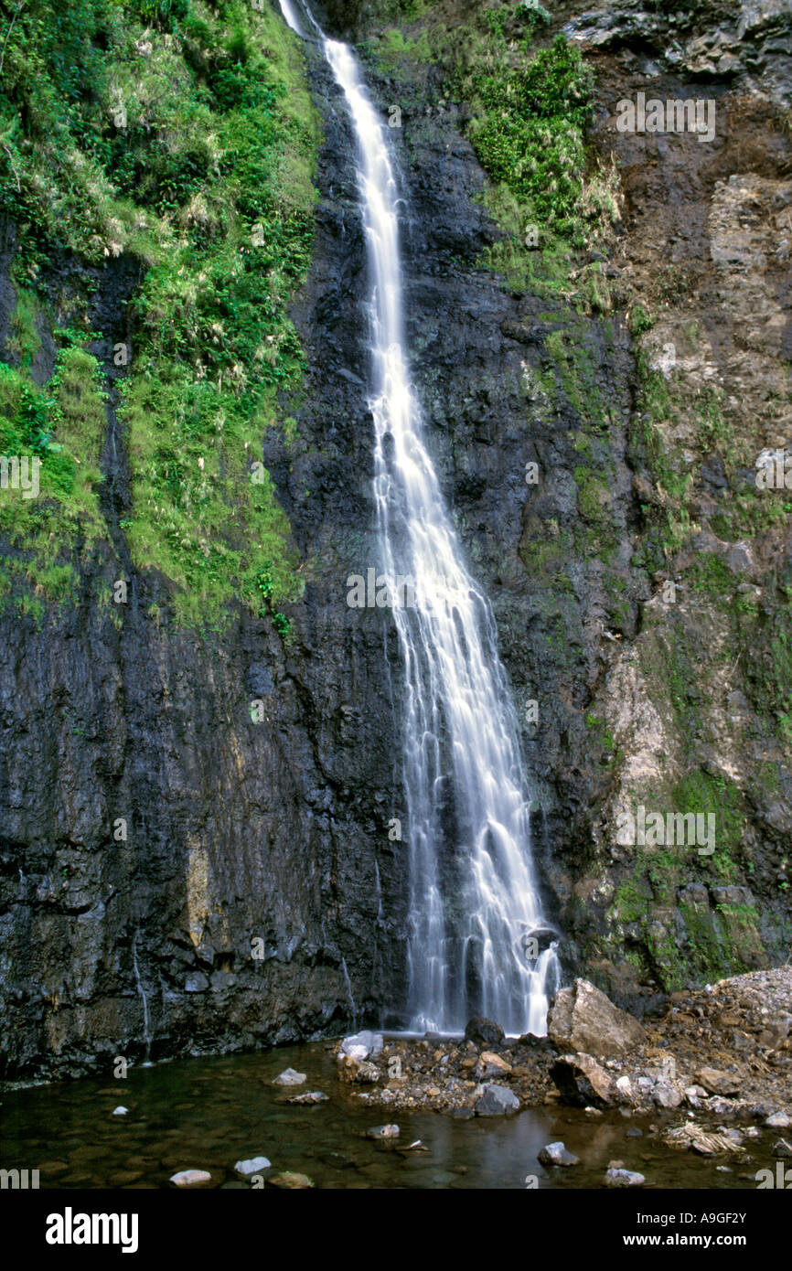 Faarumai tahiti hi-res stock photography and images - Alamy