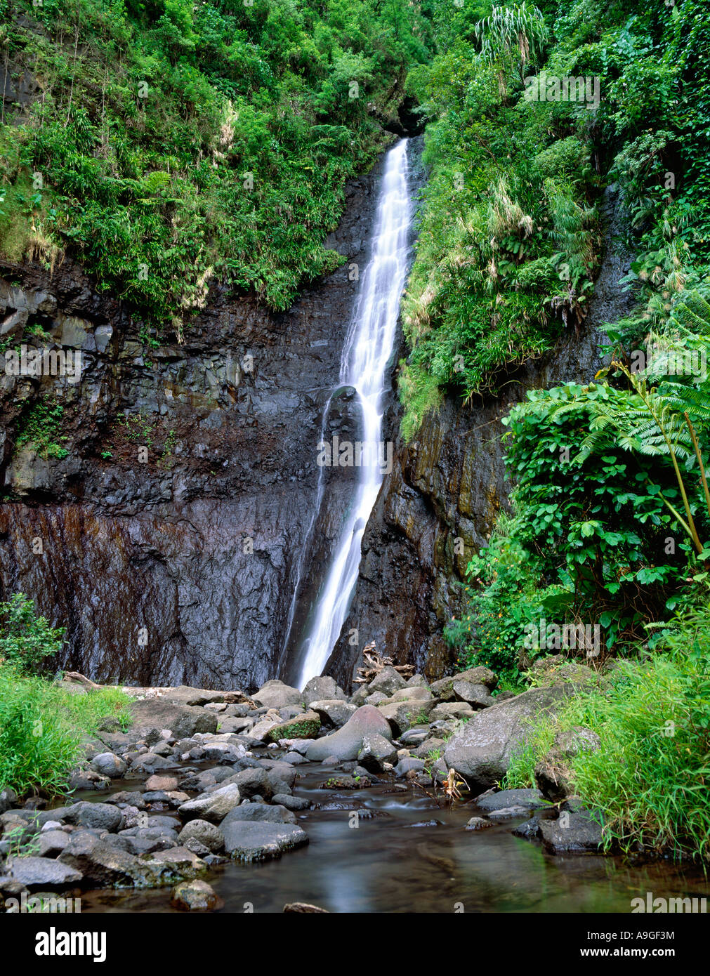 The Haamarere Rahi waterfall near Faarumai on the island of Tahiti in ...