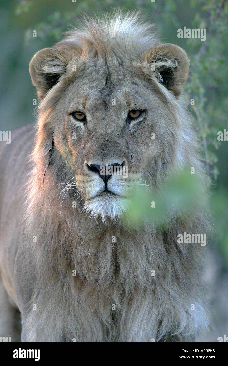 Ovamboland hi-res stock photography and images - Alamy