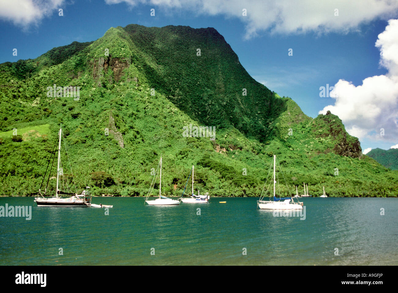 View across Cook's Bay on the island of Moorea near Tahiti in the ...
