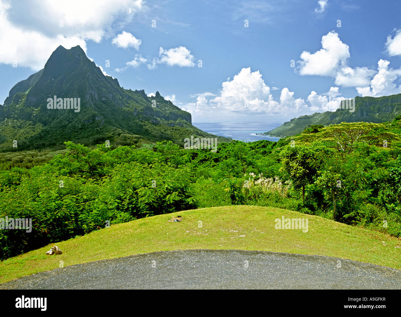 View of Cook's Bay and Mount Rotui on the island of Moorea near Tahiti ...