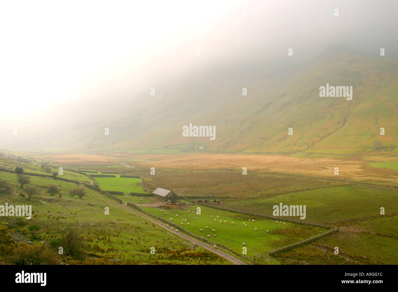 Farm and Misty Landscape Snowdonia North West Wales Stock Photo - Alamy
