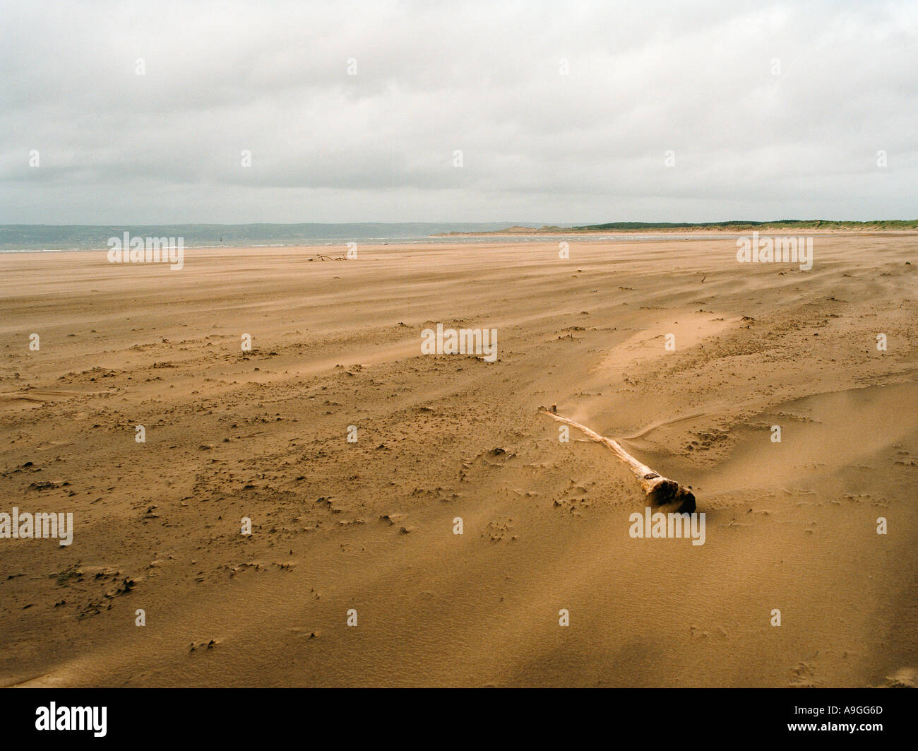 Beach Burry Holmes Llangennith Gower South Wales Stock Photo - Alamy