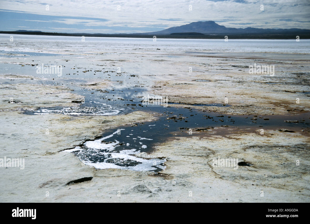 spring with salt eye, Bolivia, Altiplano, Salar de Uyuni Stock Photo ...