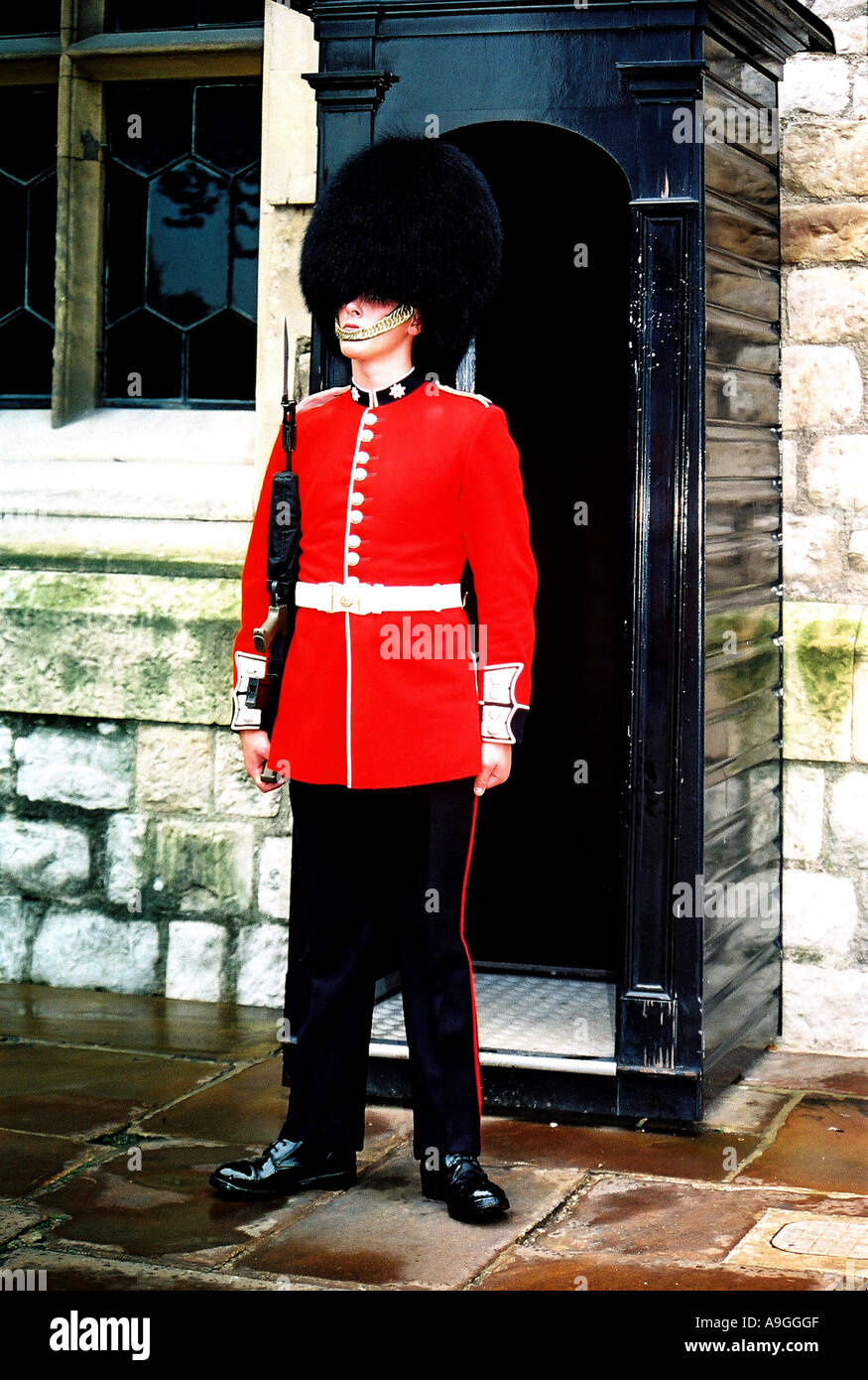 Buckingham Palace Guards Guns