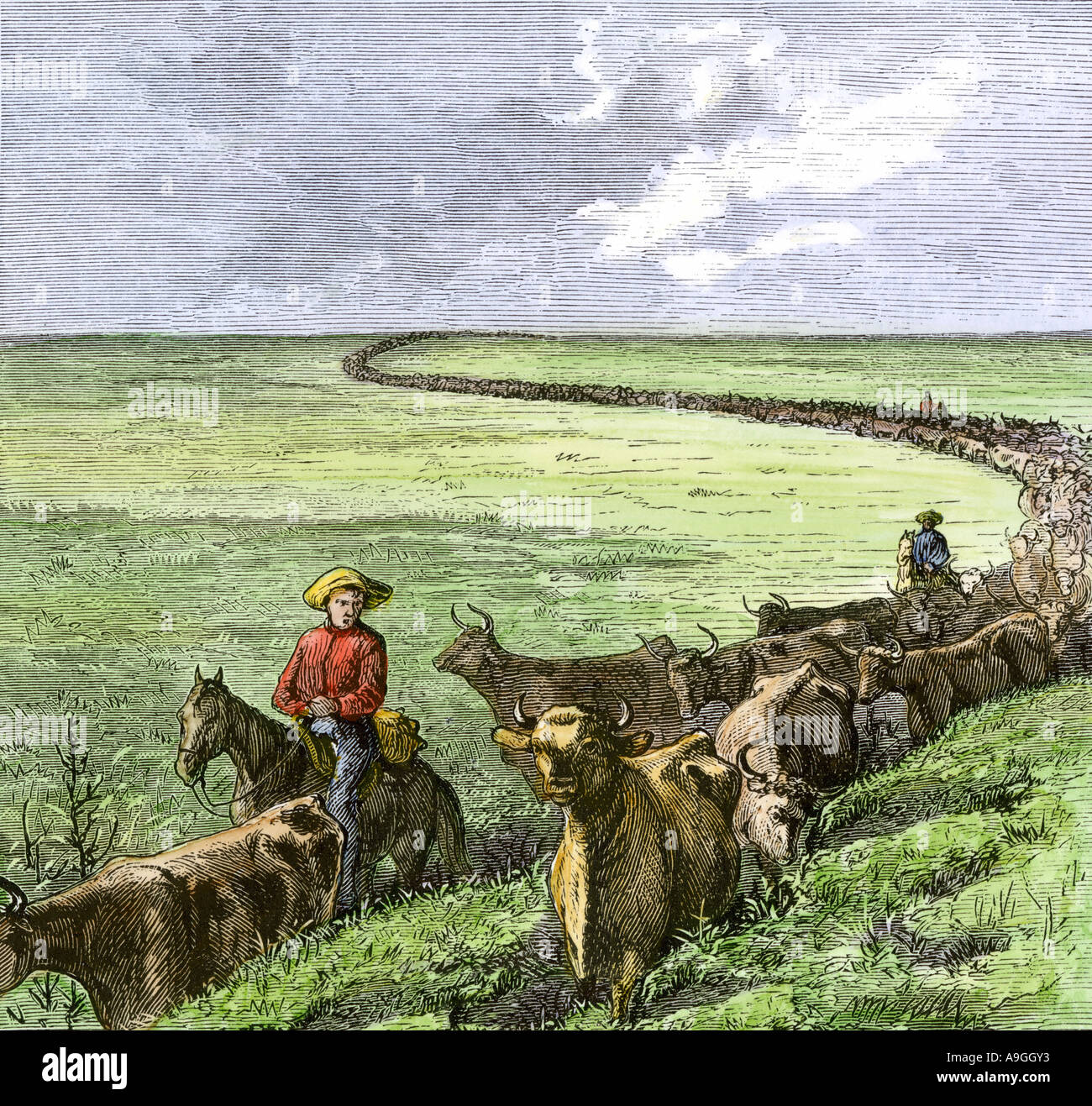 Texas Cowboy 19th Century Stock Photos & Texas Cowboy 19th Century ...