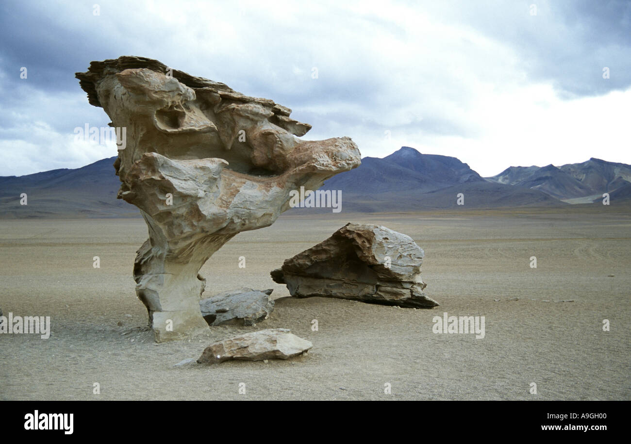 volcanic rock formation on the Bolivian Altiplano, Bolivia, Altiplano ...