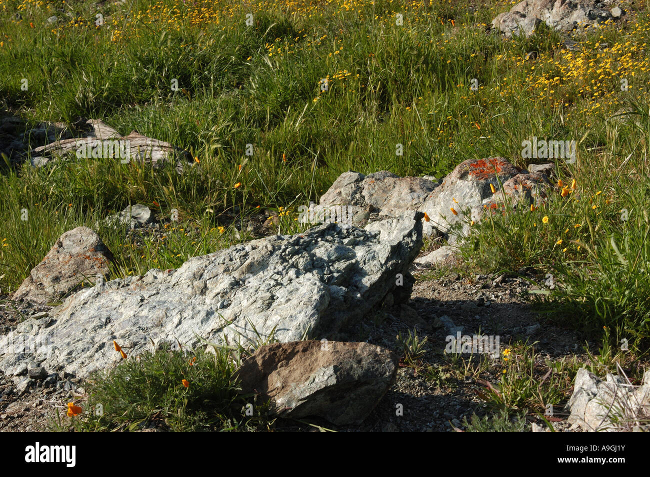 Padres rock hi-res stock photography and images - Alamy