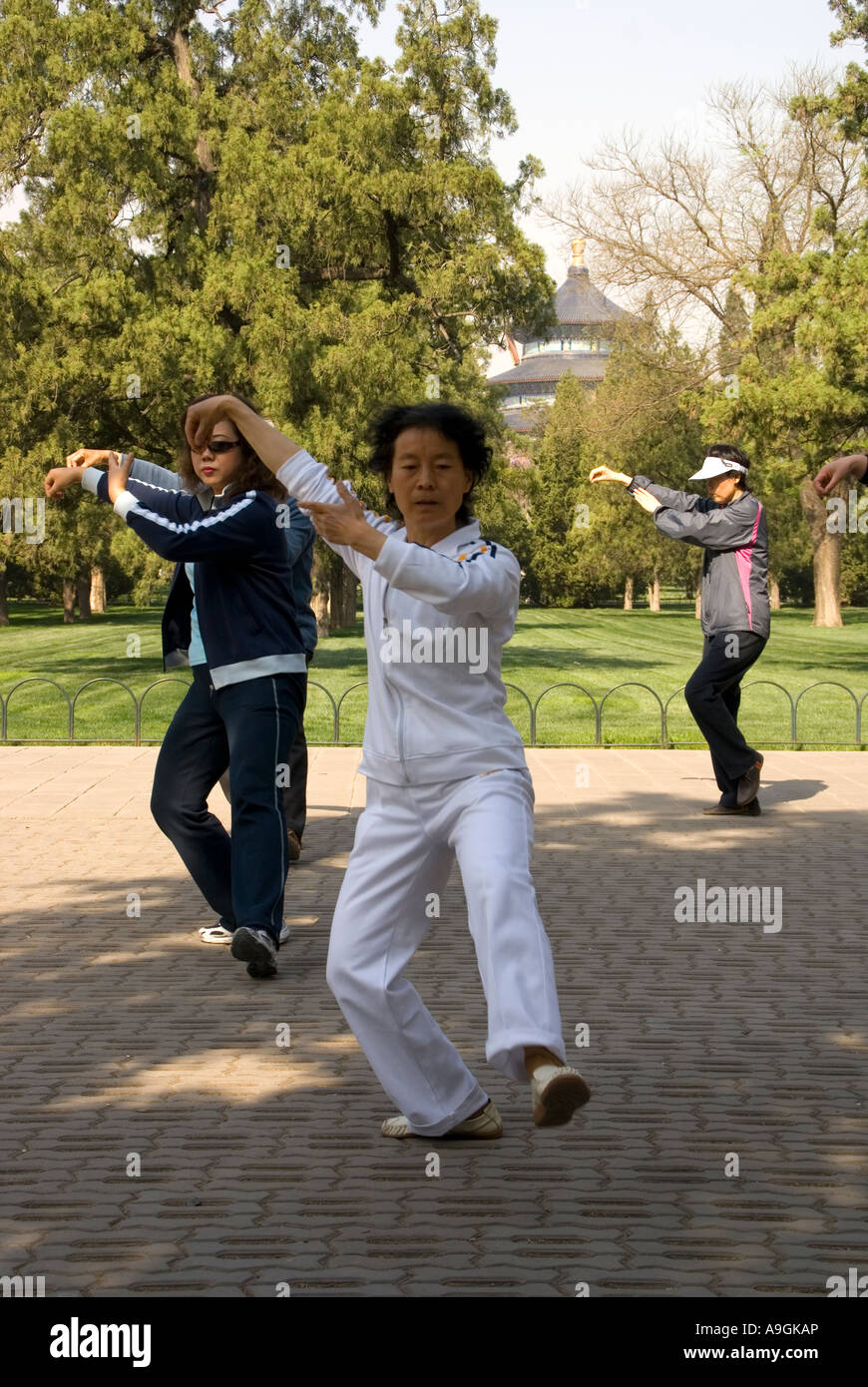 Morning tai chi chuan exercises in Tiantan Temple of Heaven Park ...