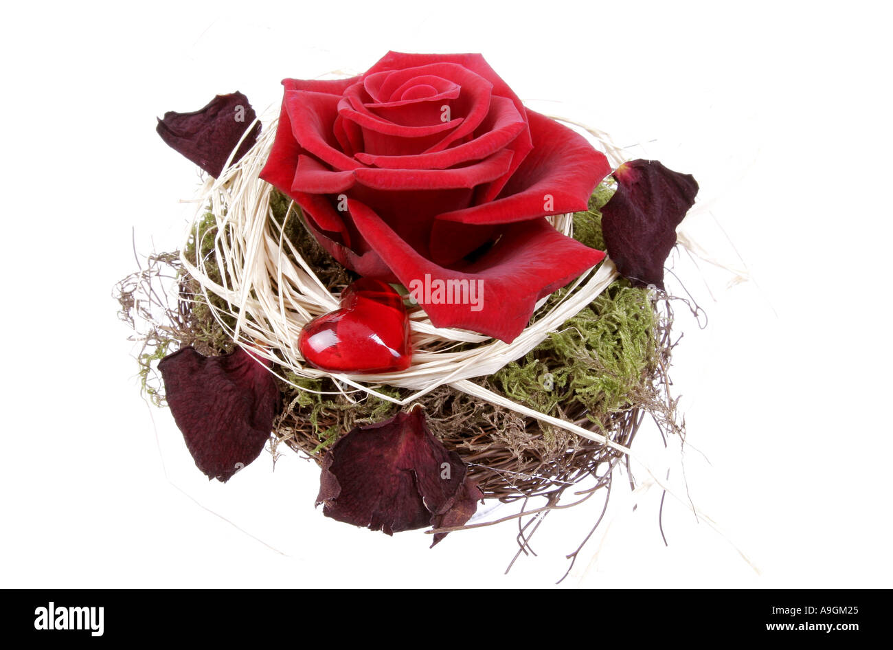 rose (Rosa spec.), red rose single blossom with leaves, cutted out ...