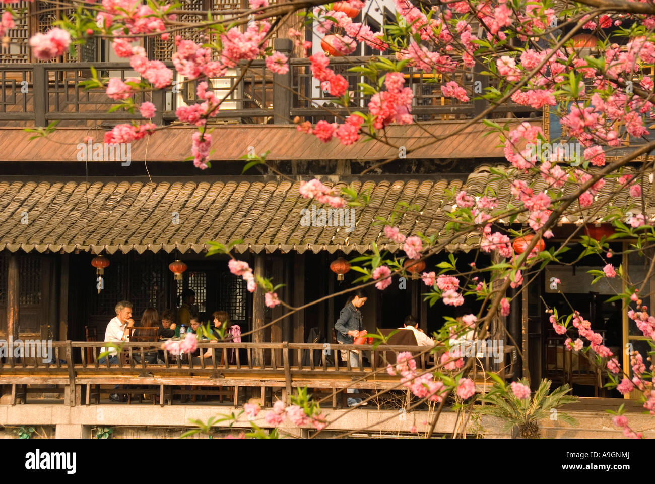 Xitang ancient water town restaurant in spring, location for film ...