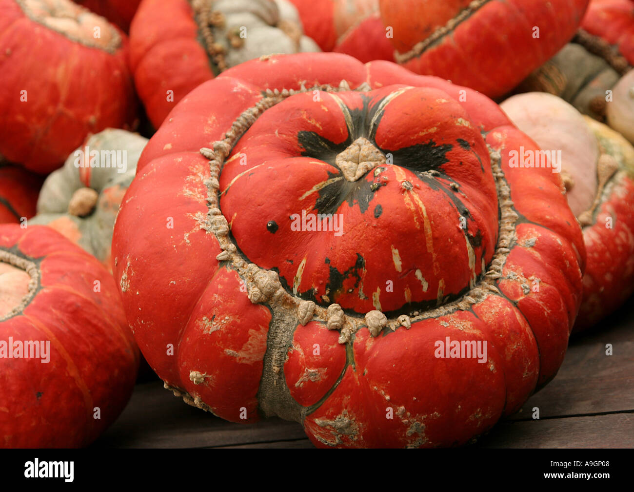 Marrow balls hi-res stock photography and images - Alamy