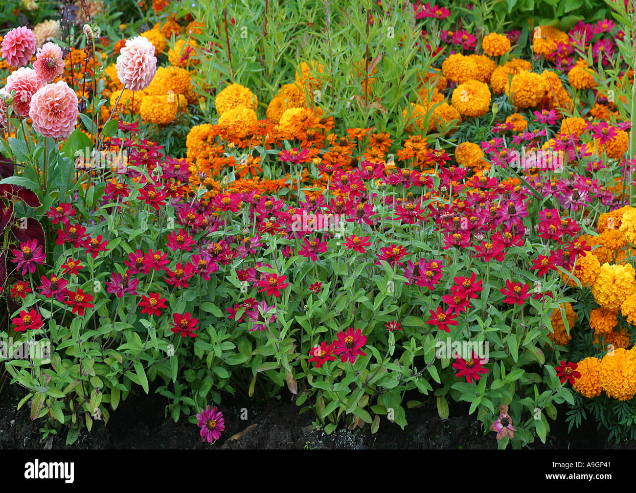 My flower bed hi-res stock photography and images - Alamy