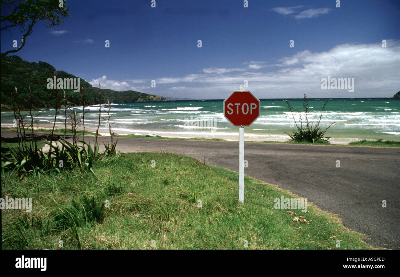 Gooseberry flat Tryphena Great Barrier Island New Zealand Stock Photo ...