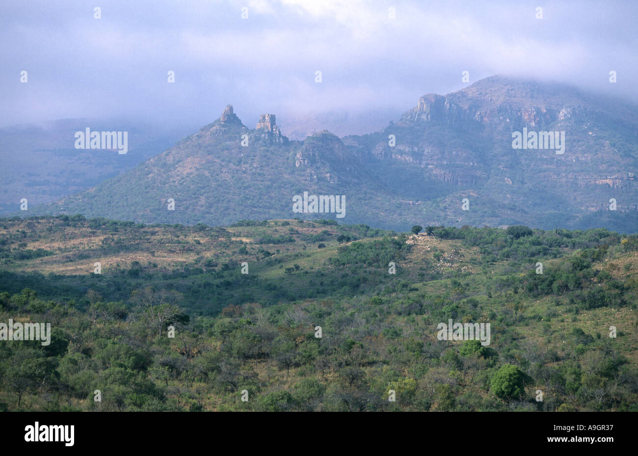 Itala game reserve hi-res stock photography and images - Alamy