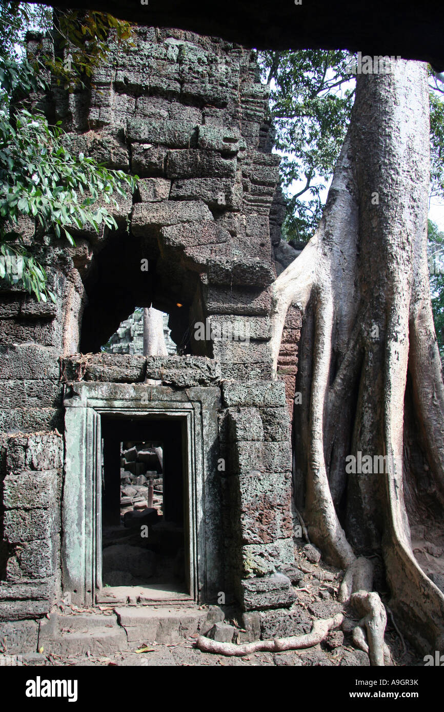 Temples of Angkor Stock Photo - Alamy