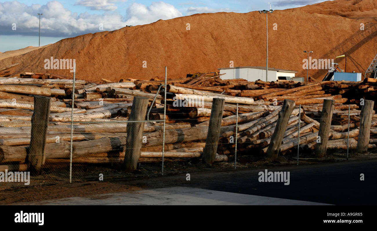Wood-chip pile in Geelong Australia Stock Photo - Alamy
