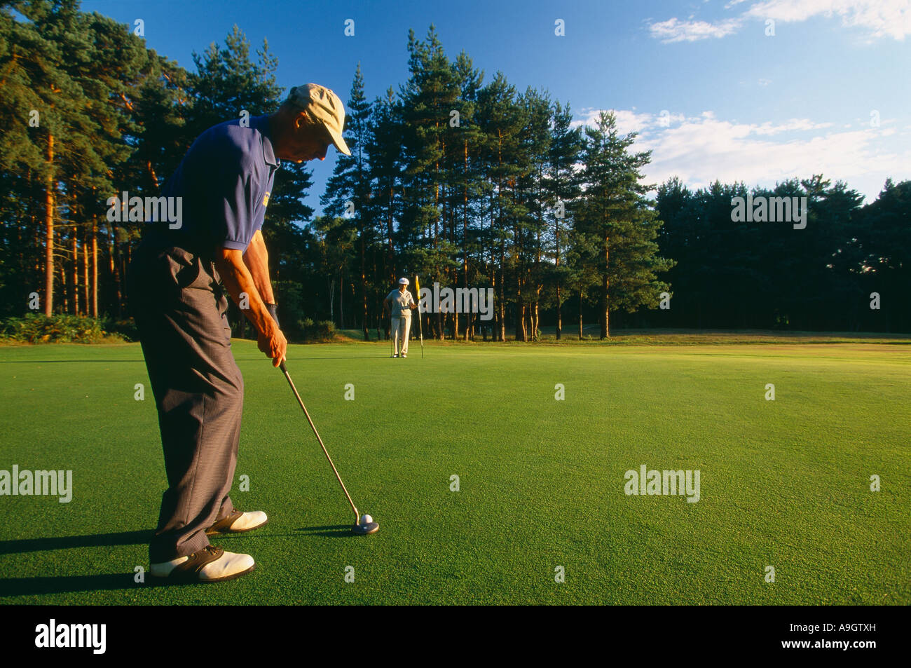 golfer putting model released Surrey England UK Surrey England UK Stock ...