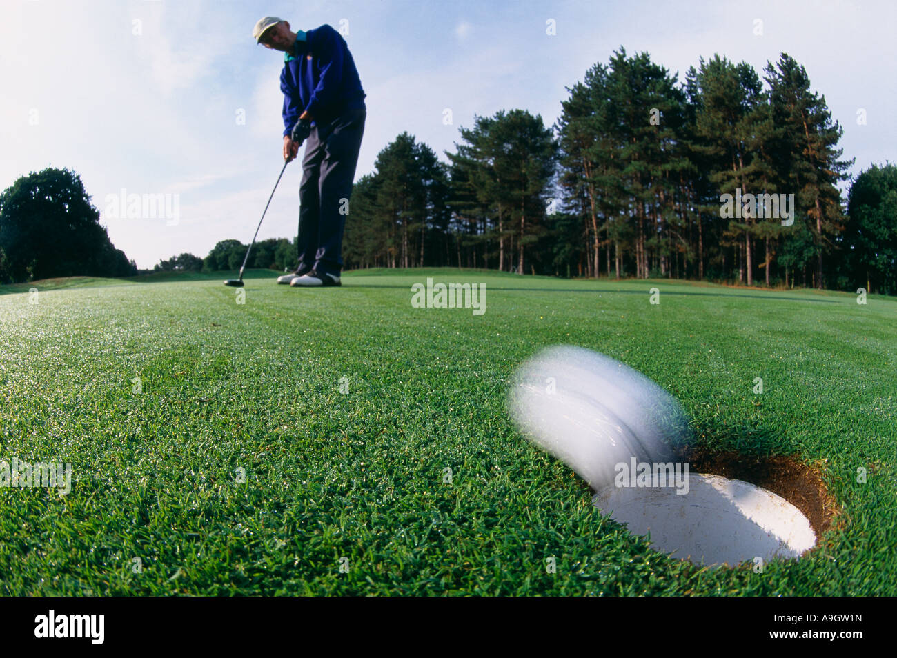 golfer putting Surrey England UK model released Stock Photo - Alamy