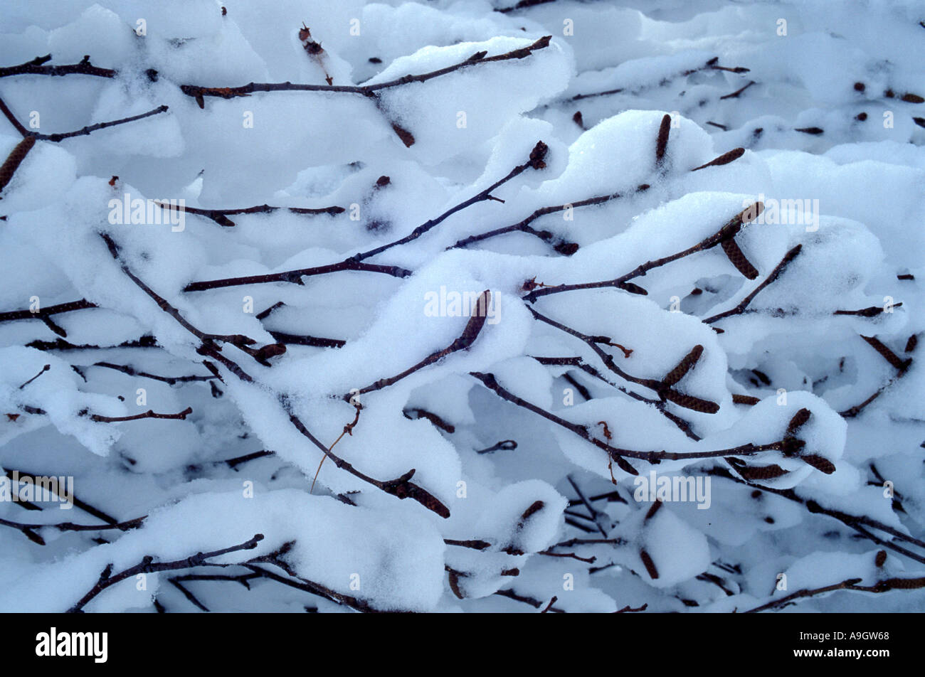 Artist bluff trail hi-res stock photography and images - Alamy