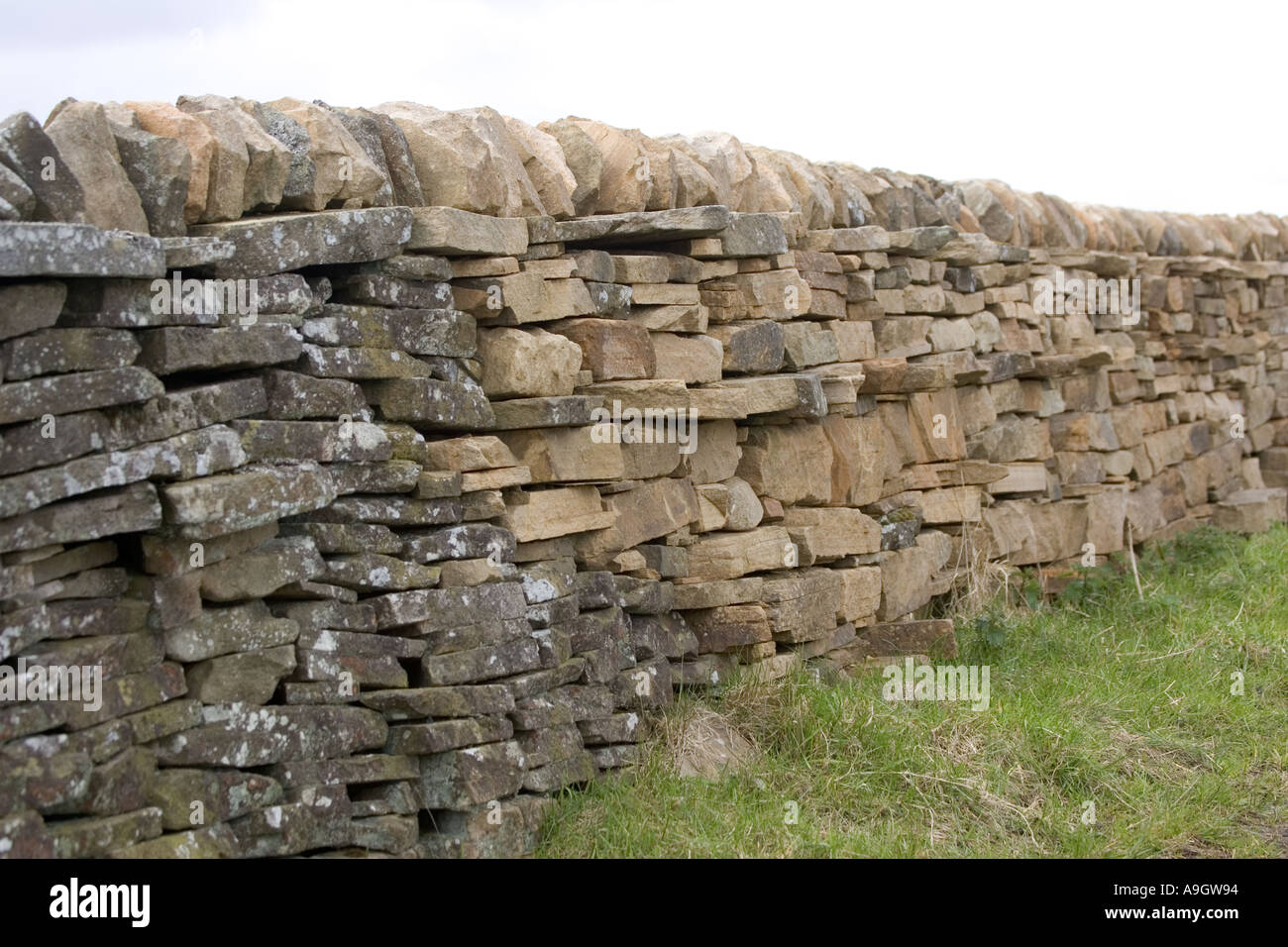 Newly rebuilt traditional stone wall North Yorkshire National Park UK ...