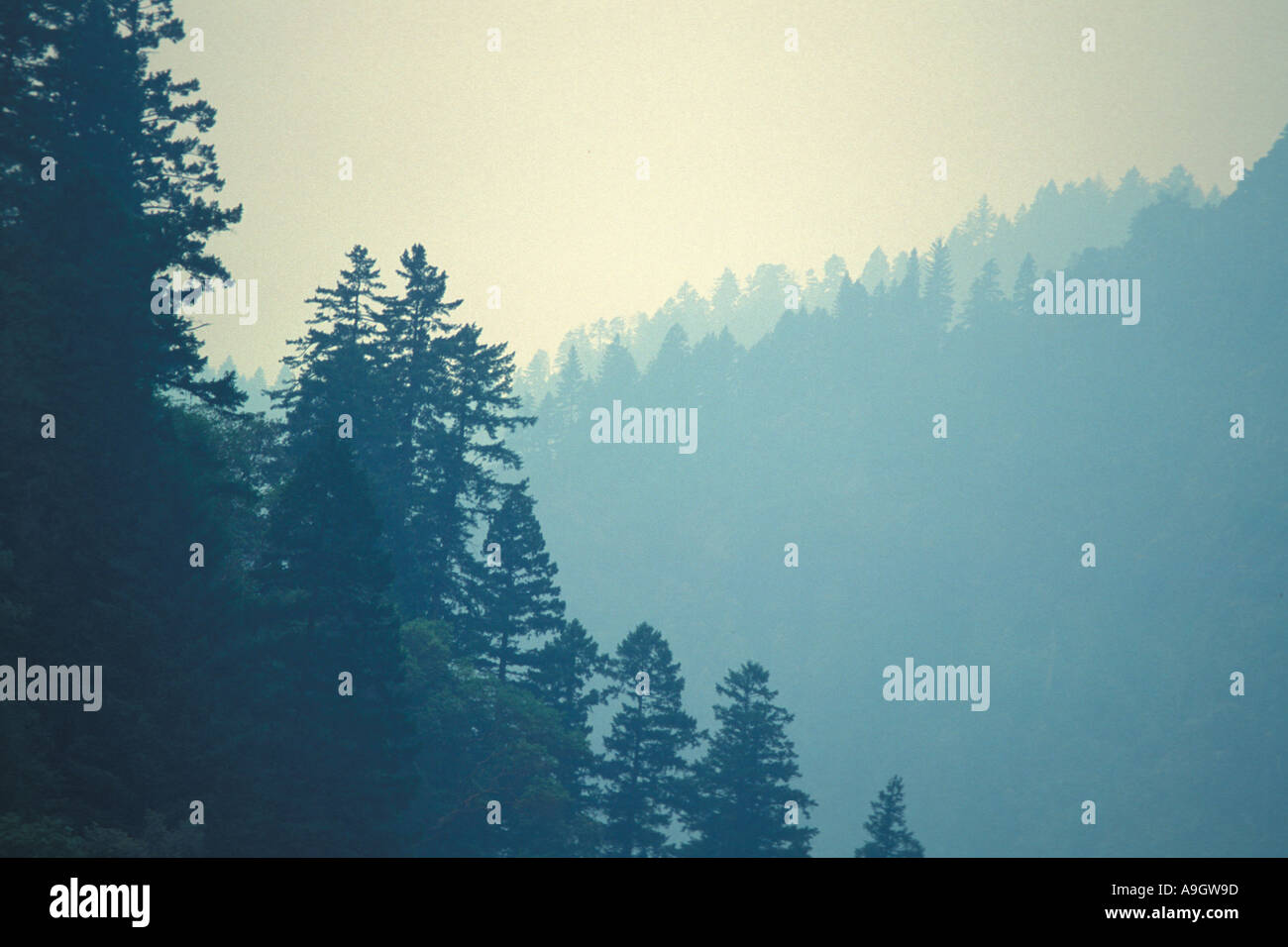 Wild rogue wilderness oregon hi-res stock photography and images - Alamy