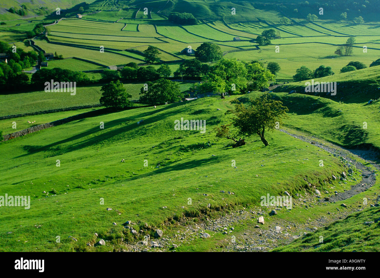 Littondale nr Arncliffe Yorkshire Dales National Park England UK Stock ...