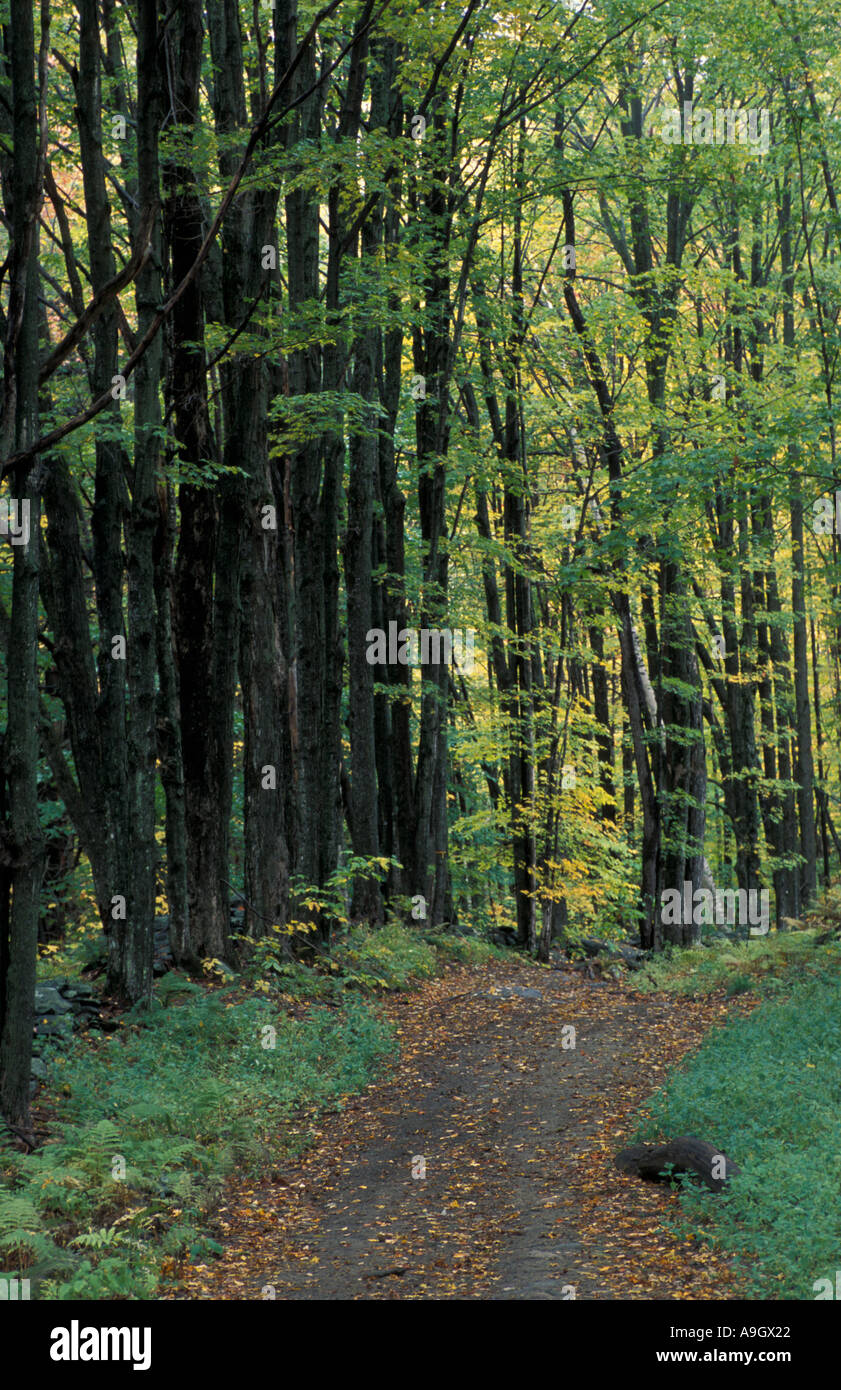 Appalachian logging hi-res stock photography and images - Alamy
