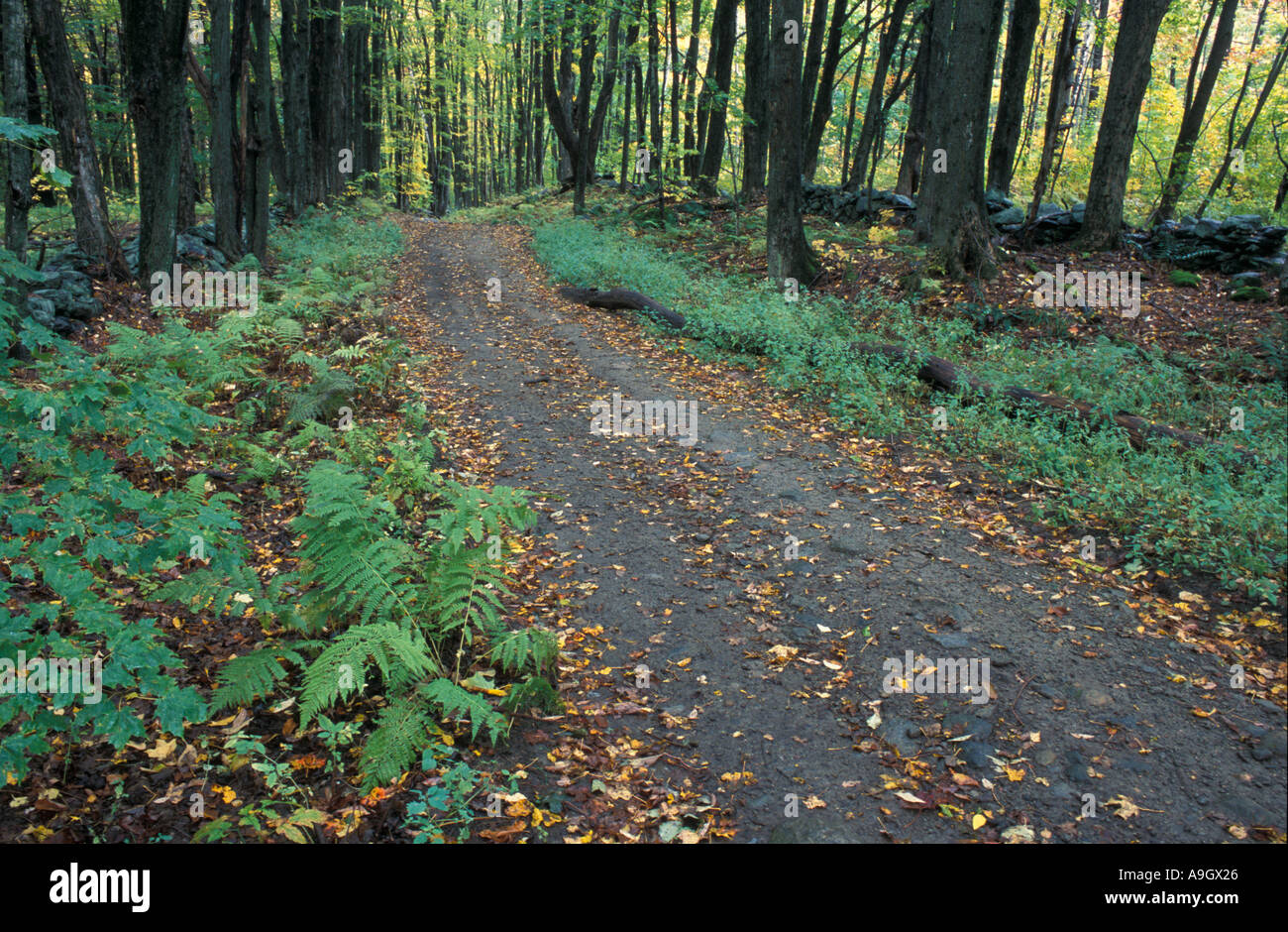 Appalachian logging hi-res stock photography and images - Alamy