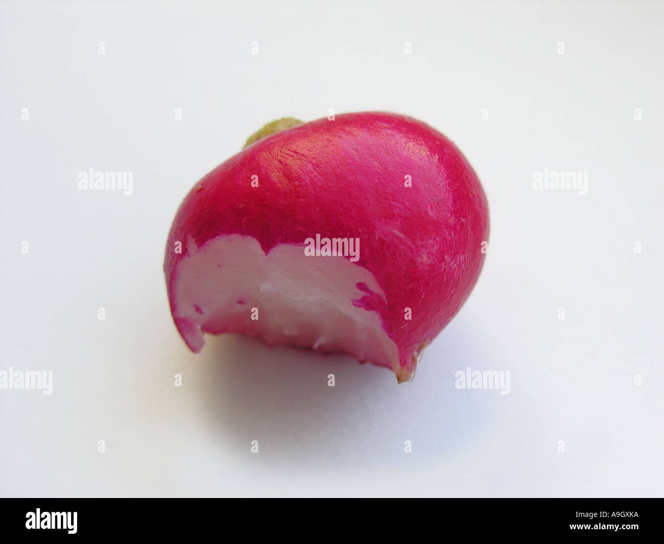 radish with a bite taken on pale background Stock Photo - Alamy