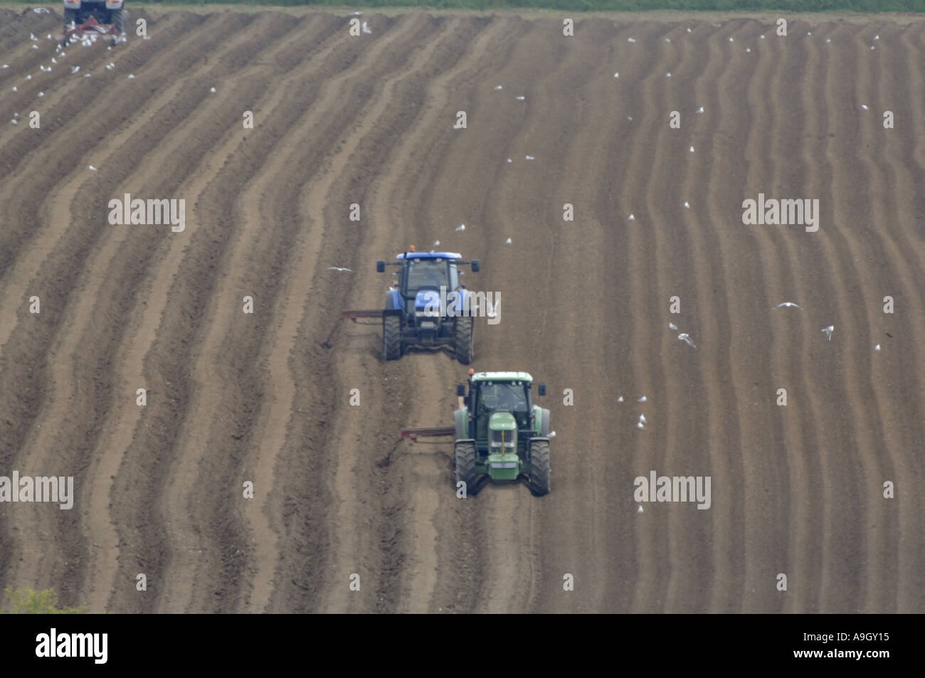 Ridging up potatoes hi-res stock photography and images - Alamy
