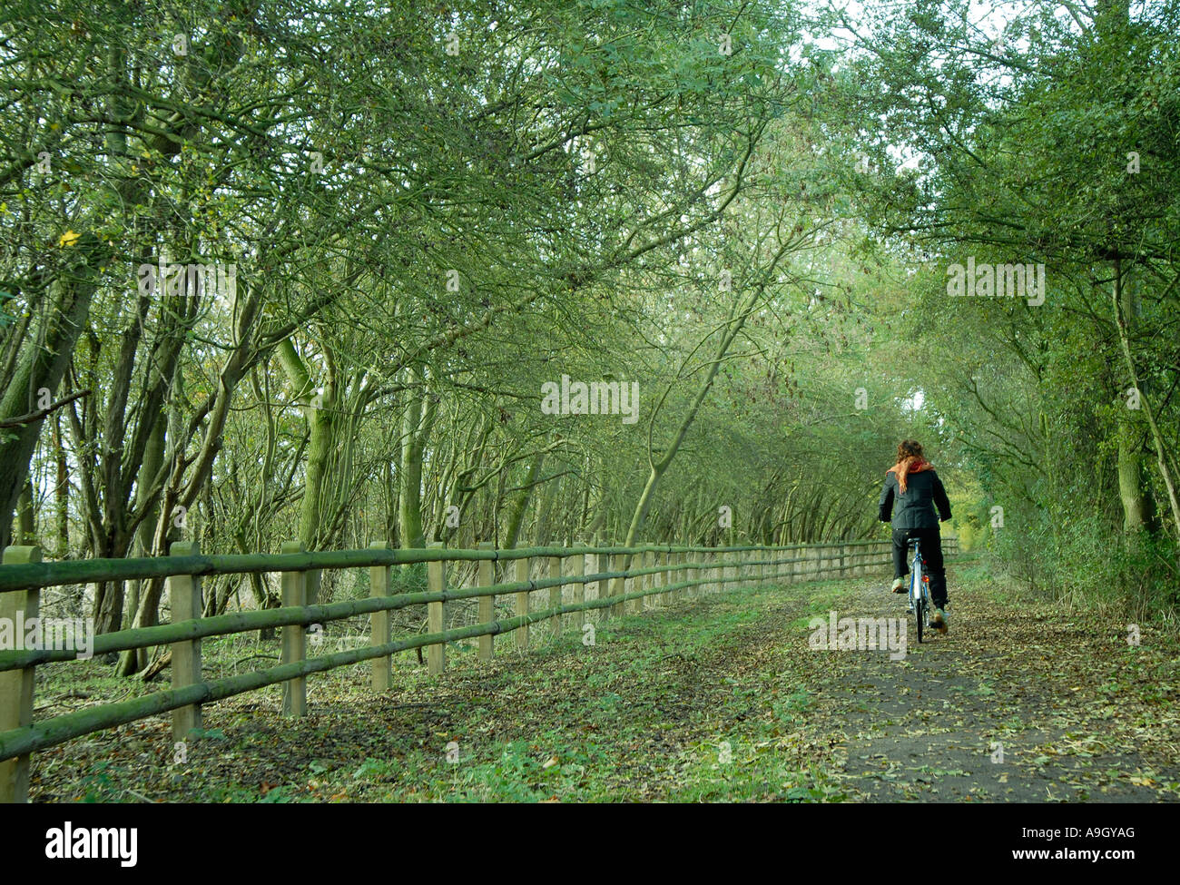Cambridge cycle path hi-res stock photography and images - Alamy