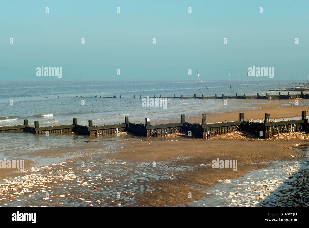 Wooden groynes erected to reduce beach erosion at Hunstanton, Norfolk ...