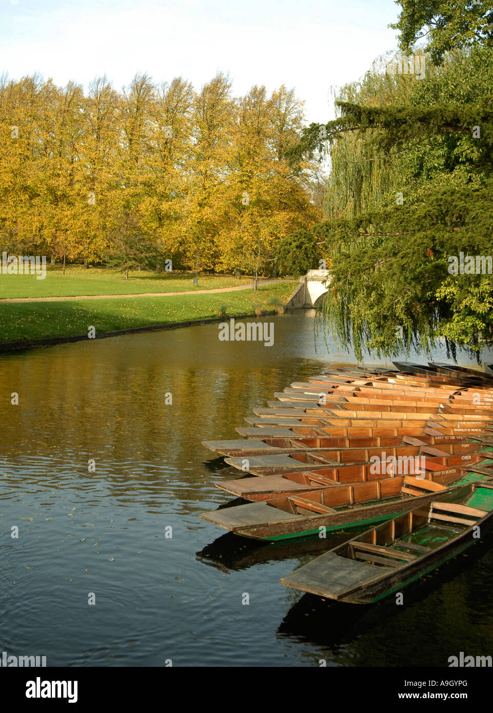 Punts in the River Cam at Cambridge, England Stock Photo - Alamy