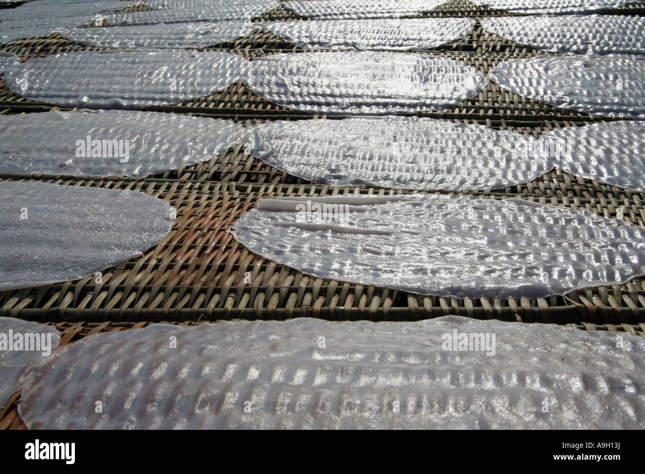 Vietnam drying rice paper hi-res stock photography and images - Alamy