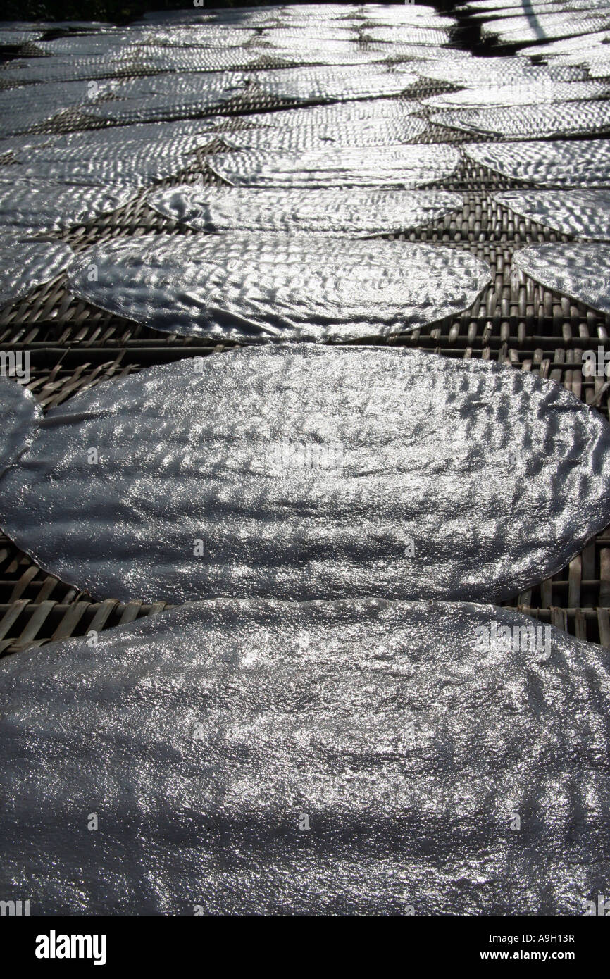 Rice Paper Drying in the Sun Vietnam Stock Photo - Alamy