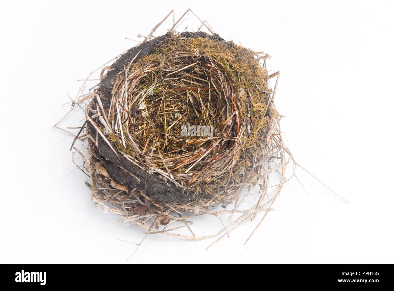 Empty nest hi-res stock photography and images - Alamy