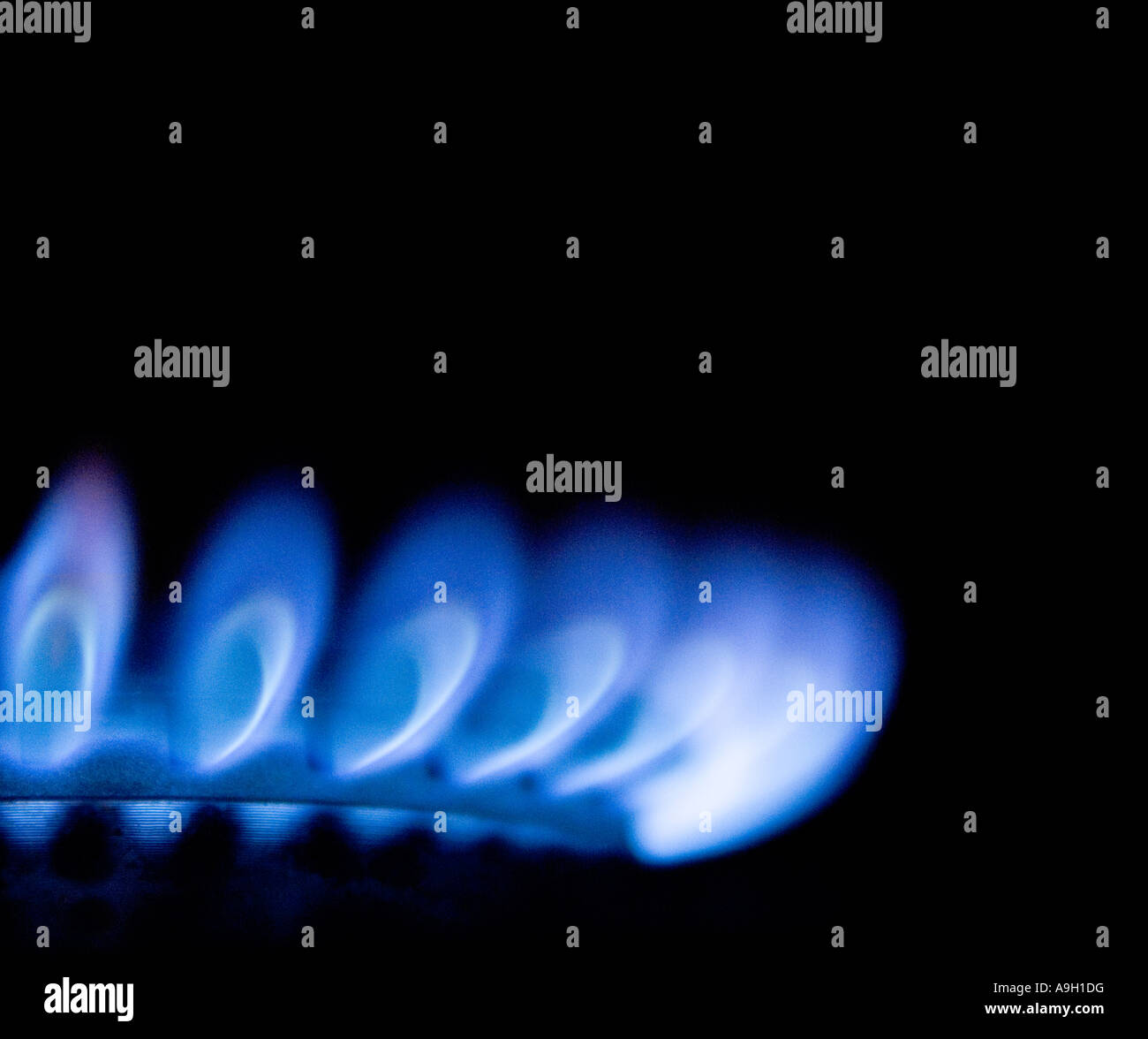 Lit gas ring on a domestic cooker hob 6 of 6 Stock Photo - Alamy