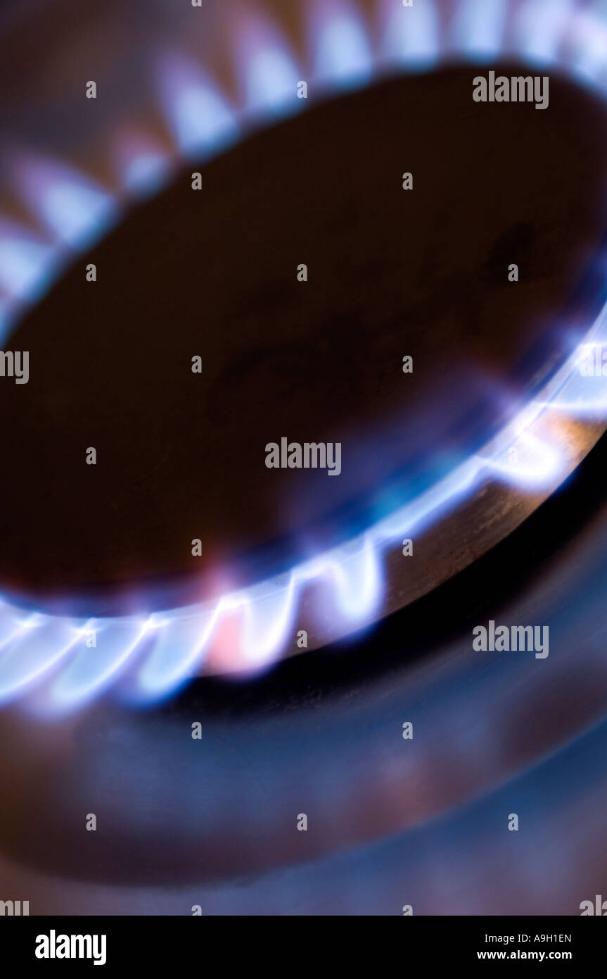 Lit gas ring on a domestic cooker hob 2 OF 6 Stock Photo - Alamy