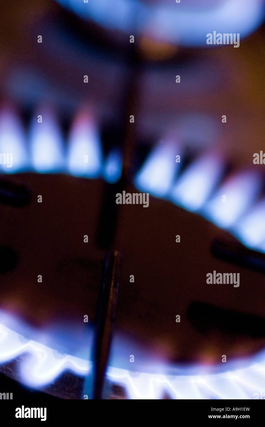 Lit gas ring on a domestic cooker hob 1 OF 6 Stock Photo - Alamy