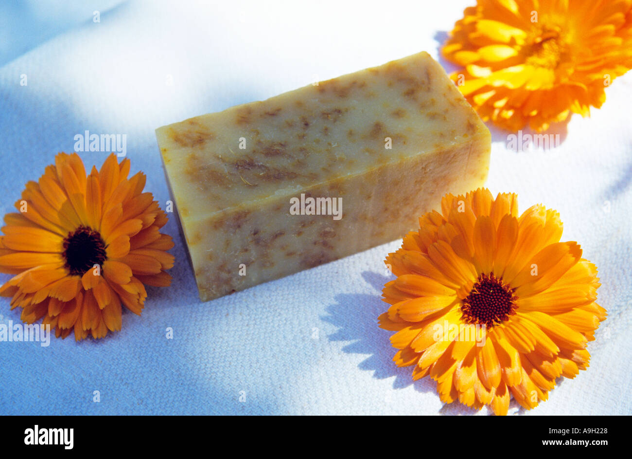 Marigold soap made by The Celtic Herbal Co Stock Photo - Alamy