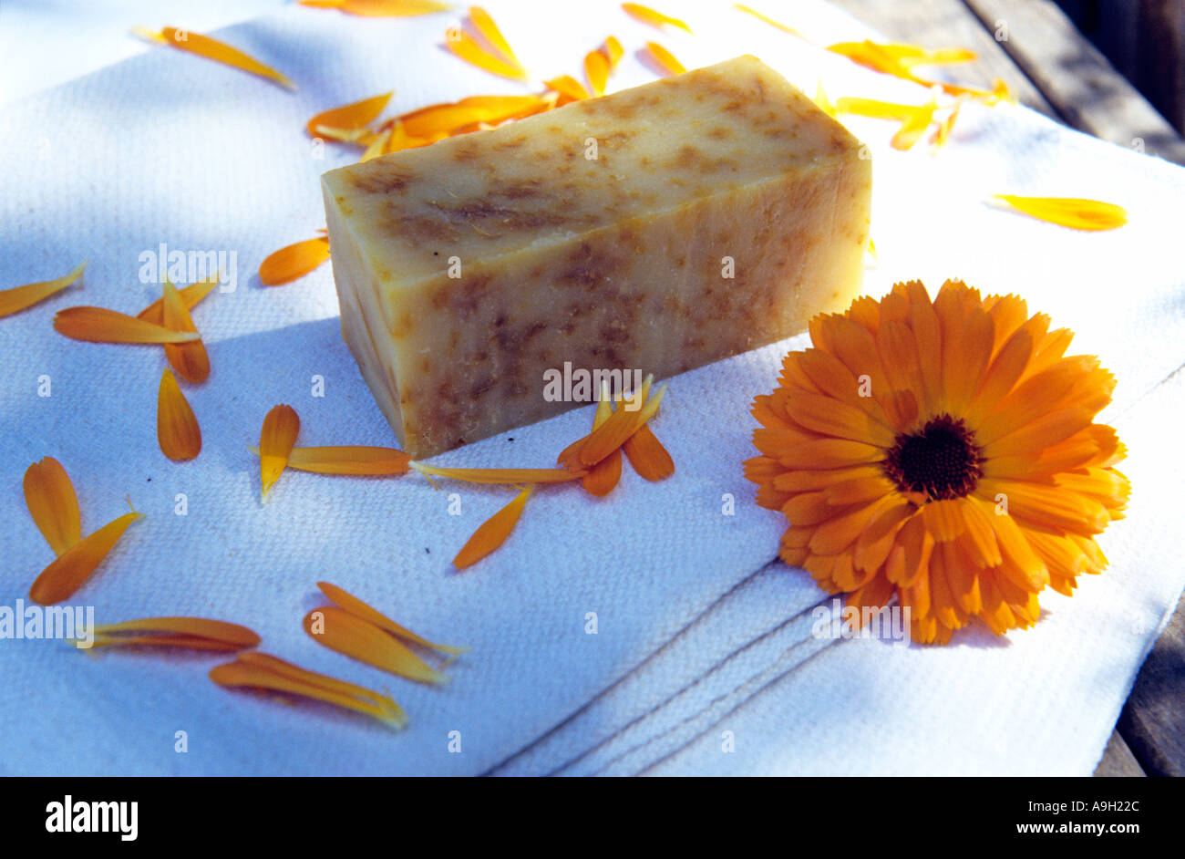 Marigold petal soap made by The Celtic Herbal Co Stock Photo - Alamy