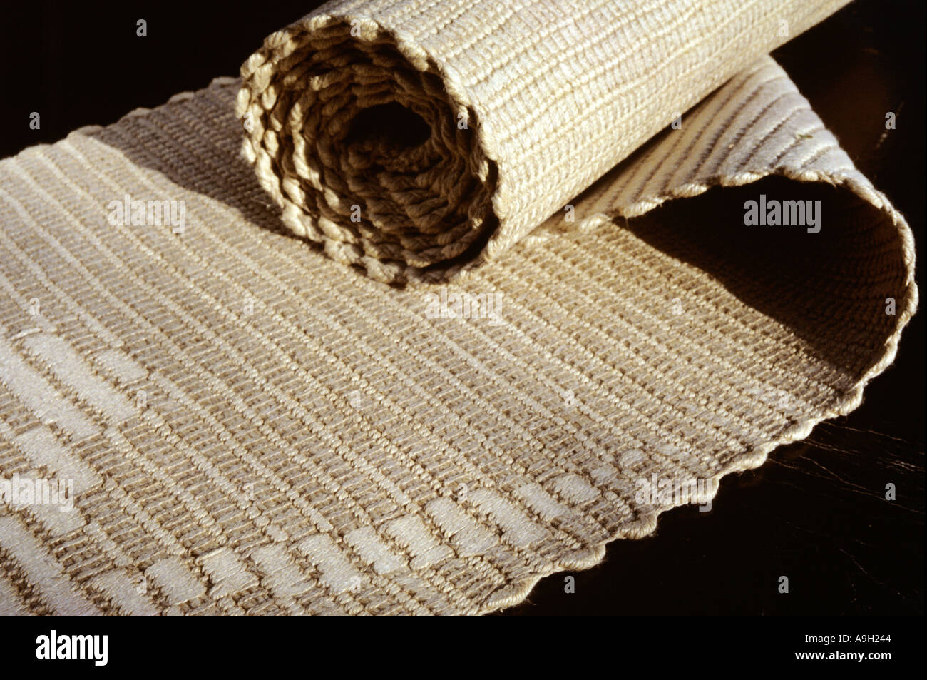 Runner mushroom hi-res stock photography and images - Alamy