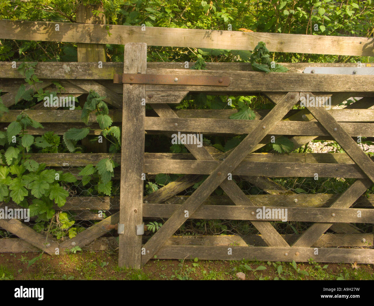 Field gate spring hedge hi-res stock photography and images - Alamy