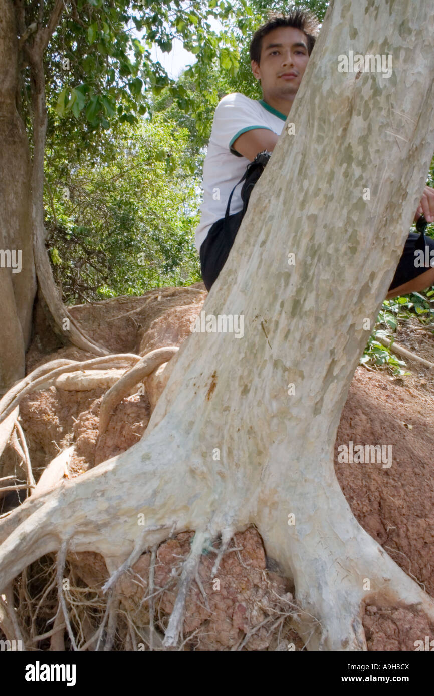 Dark man behind tree hi-res stock photography and images - Alamy