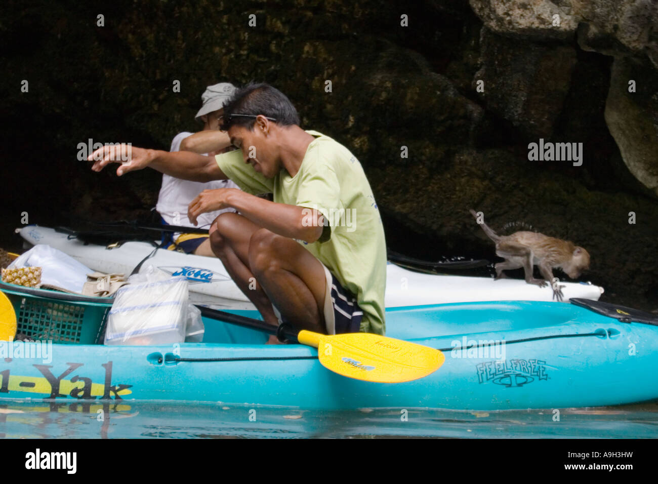 Monkey on Kayak Stock Photo - Alamy