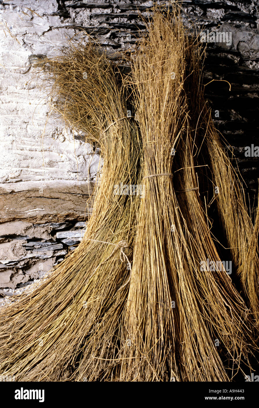 Sheaves of dried flax Stock Photo - Alamy