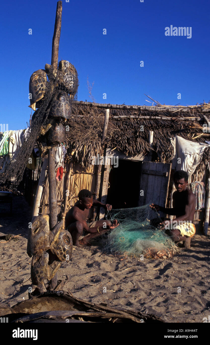 Coastal Veze people sacrifice turtles instead of oxes in the inner part ...